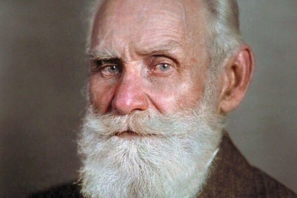 Sigmund Freud Là Ai? Tóm Tắt Tiểu Sử Nhà Phân Tâm Học Sigmund Freud.